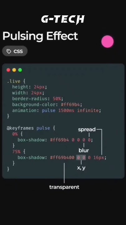 Pulsing Effect In Html Html Css Webdevelopment Codinglife Css3