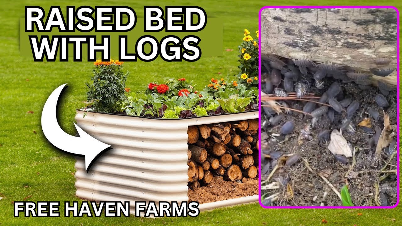 Natural Raised Beds Using Logs Wildlife Garden: How To Build A Log