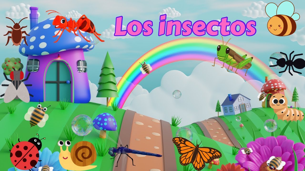 Los insectos y bichos para niños-aprende sobre insectos-insects - YouTube