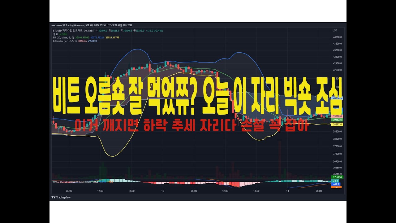마동석코인 마코 비트코인 2월 6일 시황 비트 오름 숏 잘 먹었쮸 오늘 이 자리 빅숏 조심 하락추세 구간 알트코인 코린이