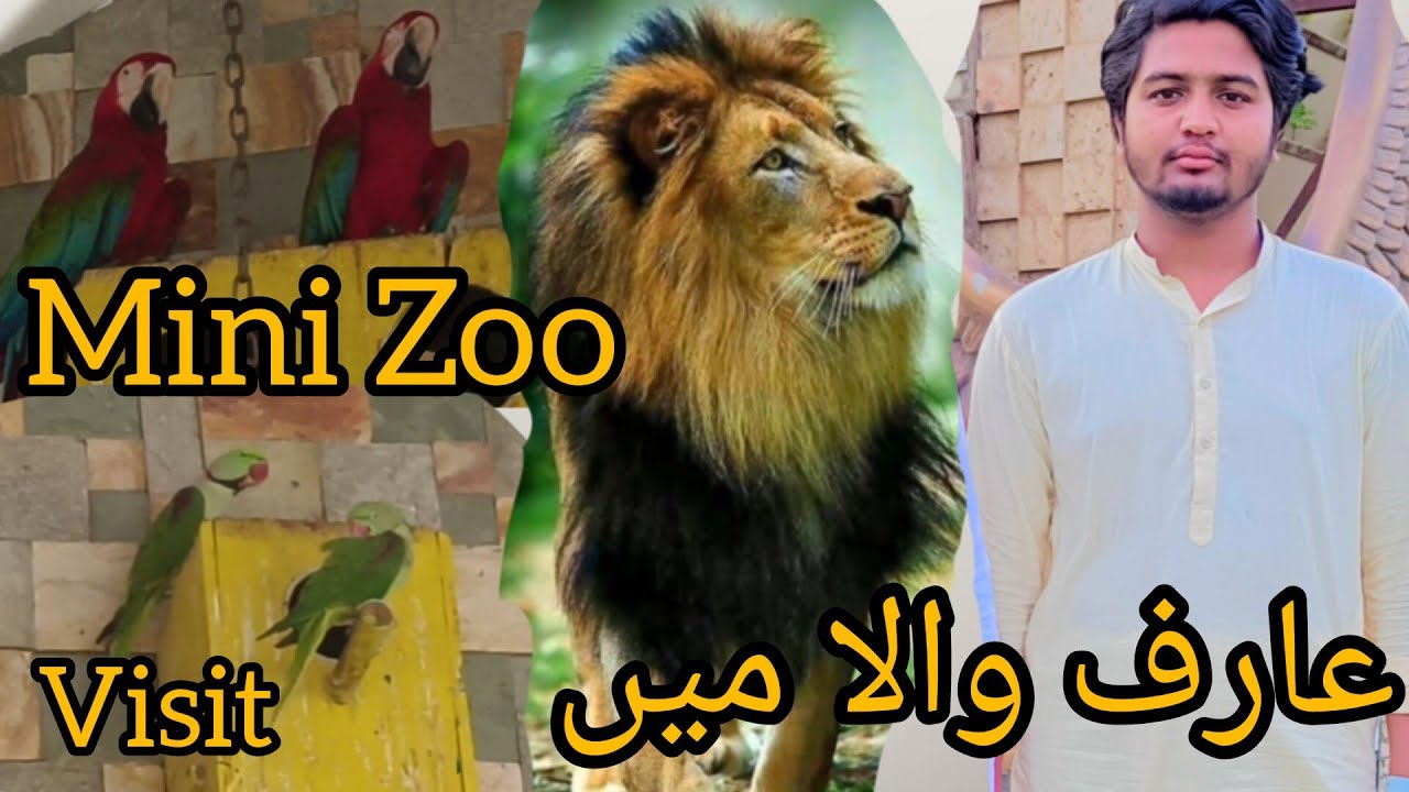 Arifwala Ma Mini Zoo /Entertainment/ Ali Asghar vlogs ،🙁 - YouTube
