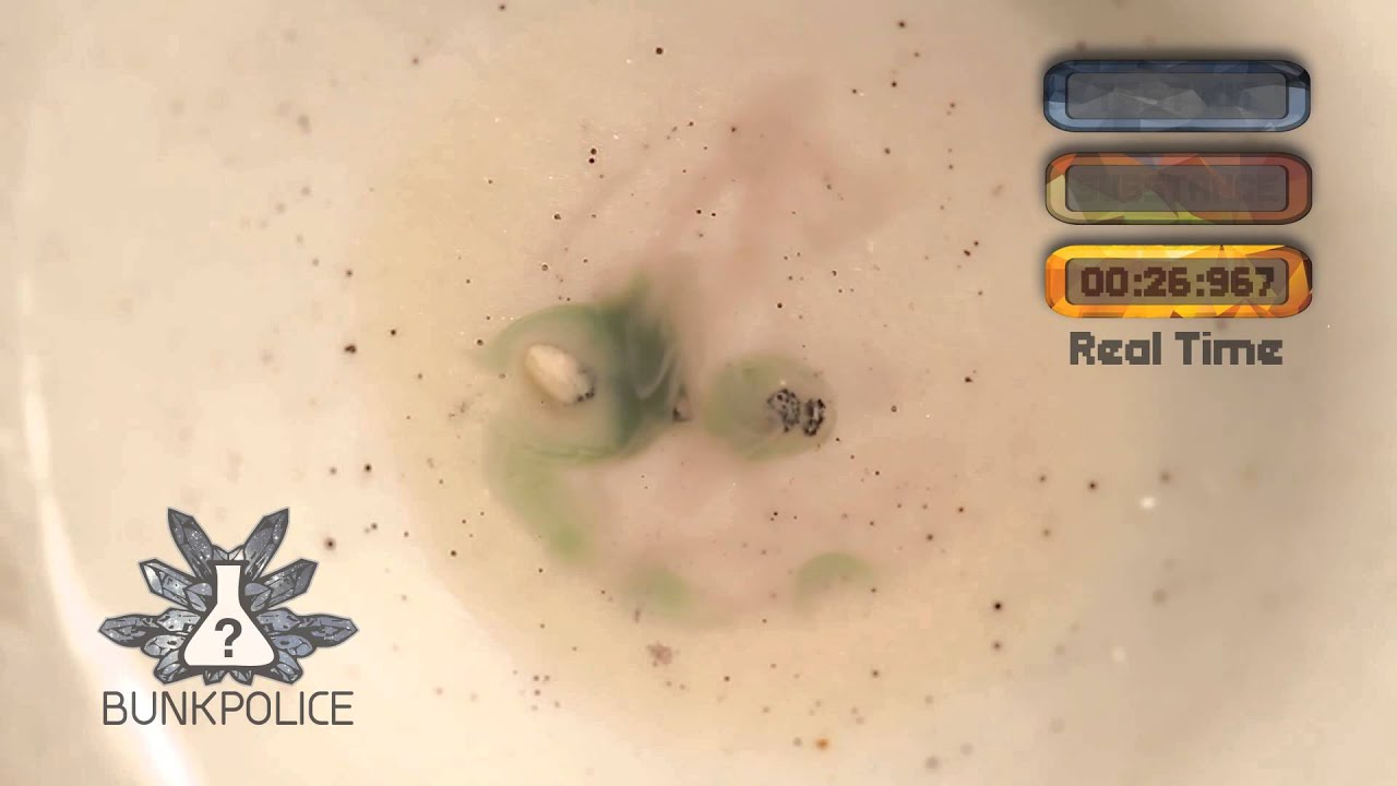 2C-C - Simon's Reagent - Normal Test Kit - Bunk Police - YouTube