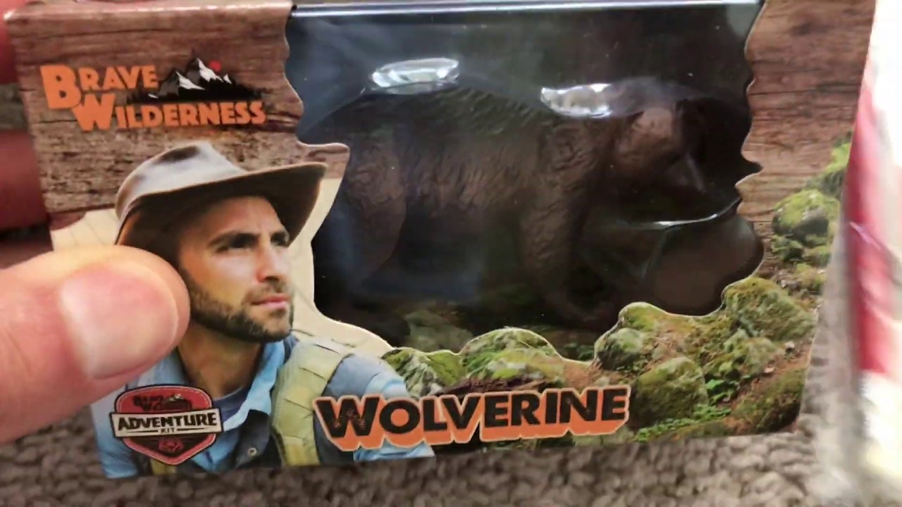 Unboxing Brave Wilderness Adventure Kit - YouTube