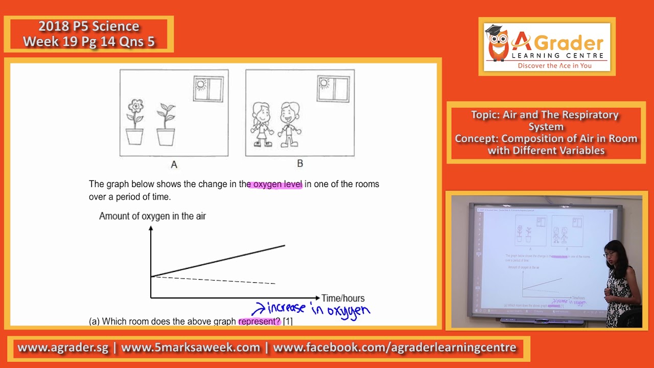 2018 - P5 Science - Week 19 - Air and The Respiratory System - YouTube