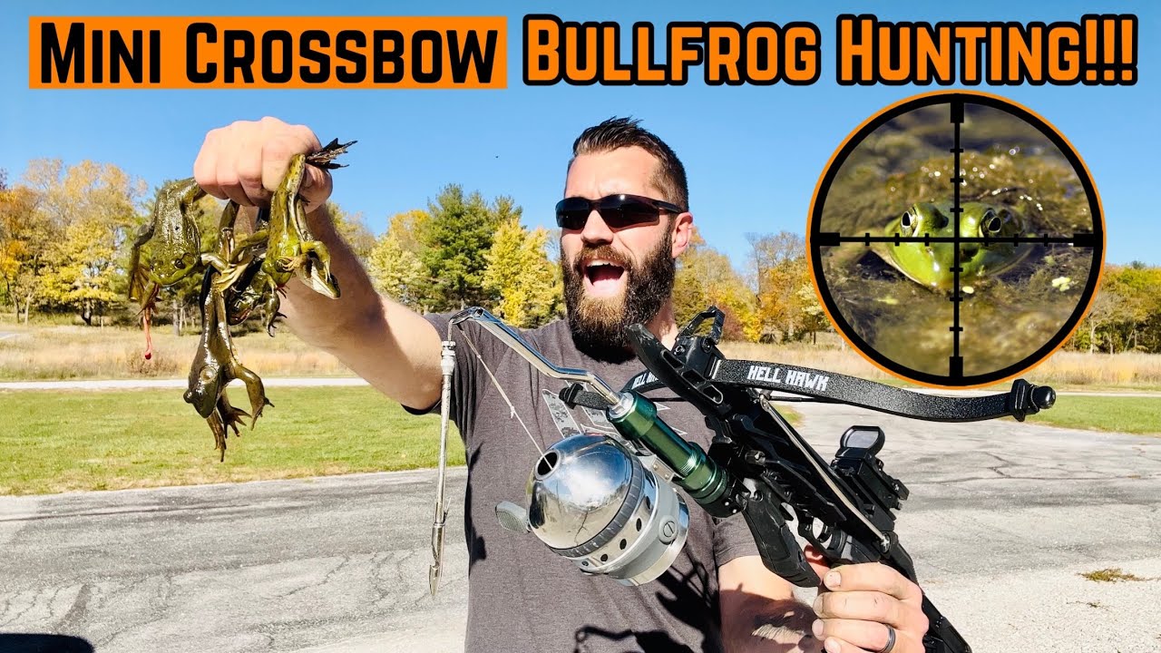 Hunting BULLFROGS With A Mini CROSSBOW!!! (Clean and Cook) - YouTube