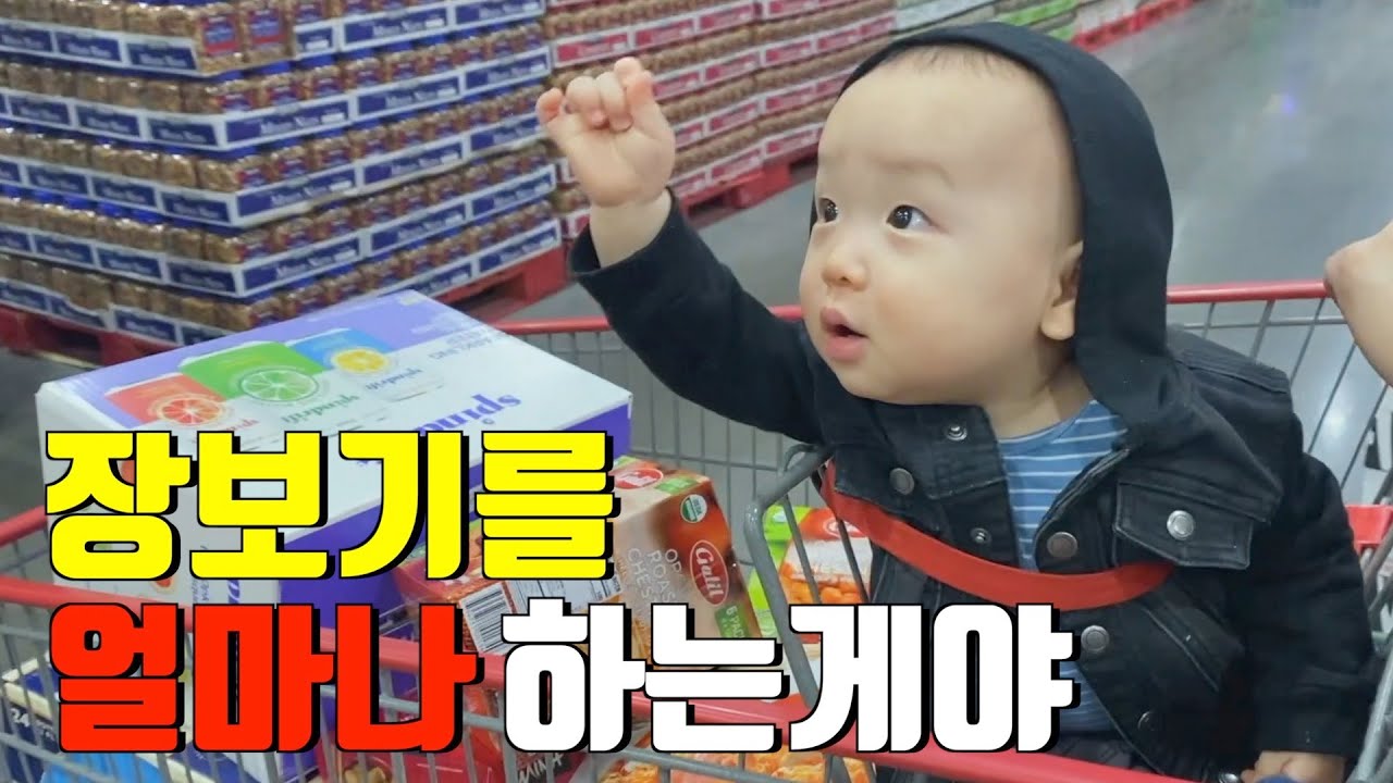마트장보기 모음집 🇺🇸 우리 같이 장 봐요 🤑 코스트코 추천상품 L 미국물가 L 한달식비 L 코스트코 세일상품 L 역대급
