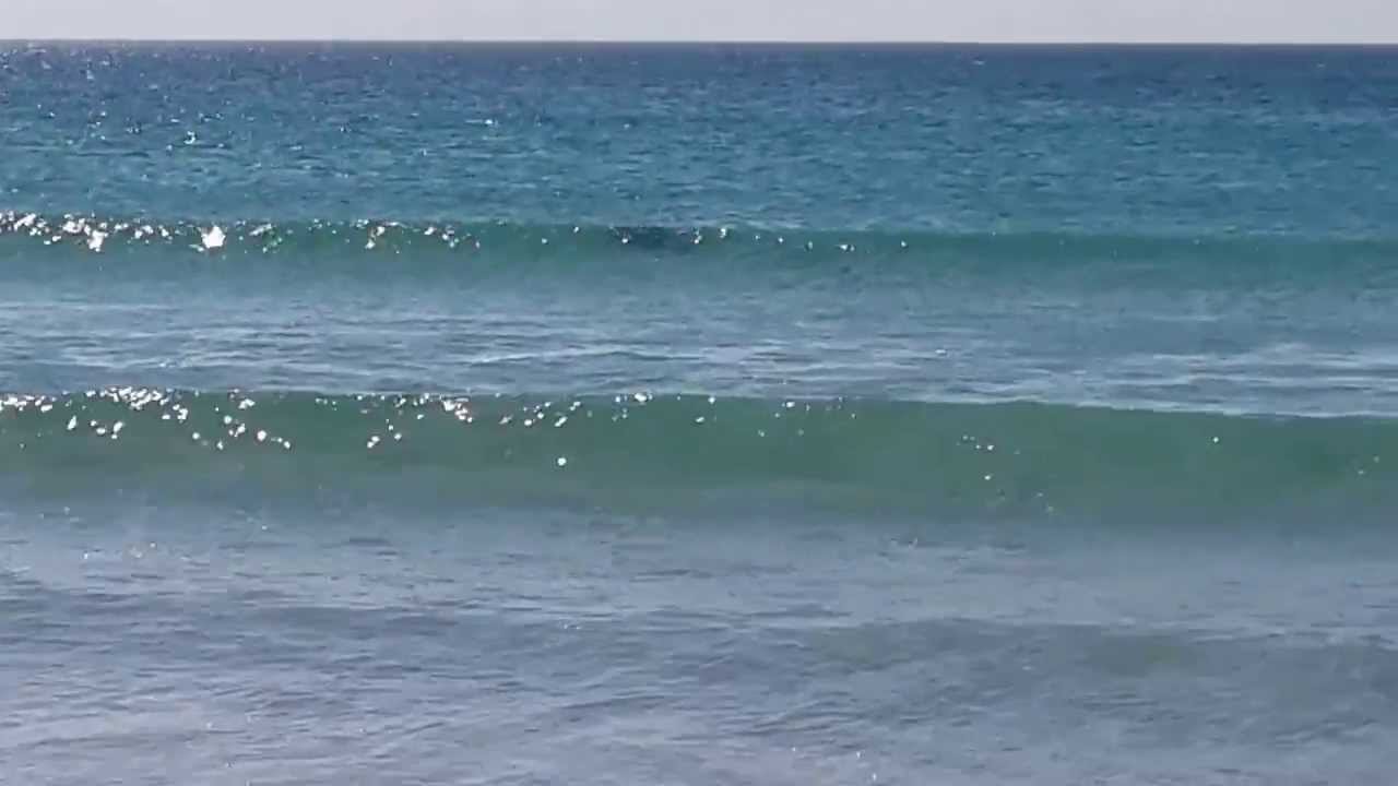 Shark Spotted at Fish Hoek Beach - 23 January 2014 - YouTube