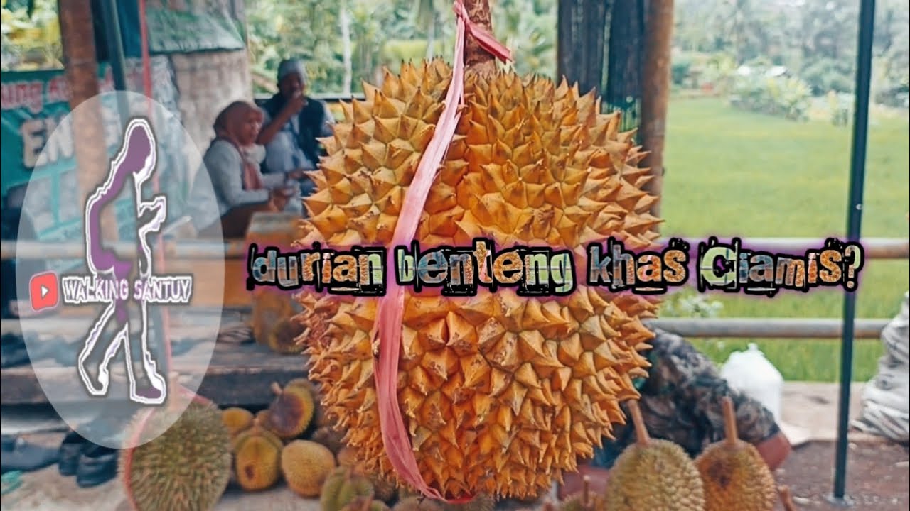 durian benteng, durian lokal Ciamis #vlog #walk #walking - YouTube