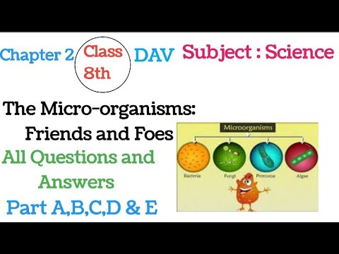 DAV | Class 8th | The Micro-organisms : Friends and Foes |Science ...