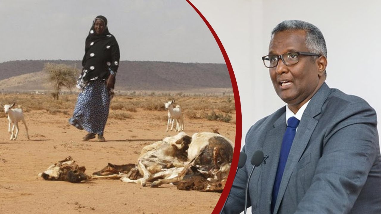 Gurmadka Abaaraha | Abaaro ba'an ayaa ka jira qaybo badan oo kamida ...