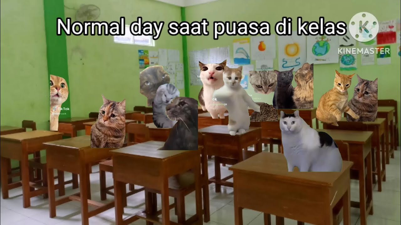 POV: normal day saat puasa di kelas #memes #fypシ #viral #cat - YouTube