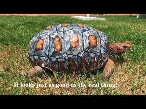 Injured Tortoise Receives World’s First 3D Printed Shell - YouTube