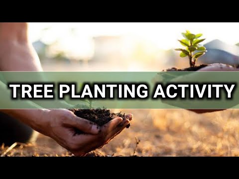 Tree Planting Activity Kilos Kabataan Alagaan ang Kalikasan | SANOPH ...