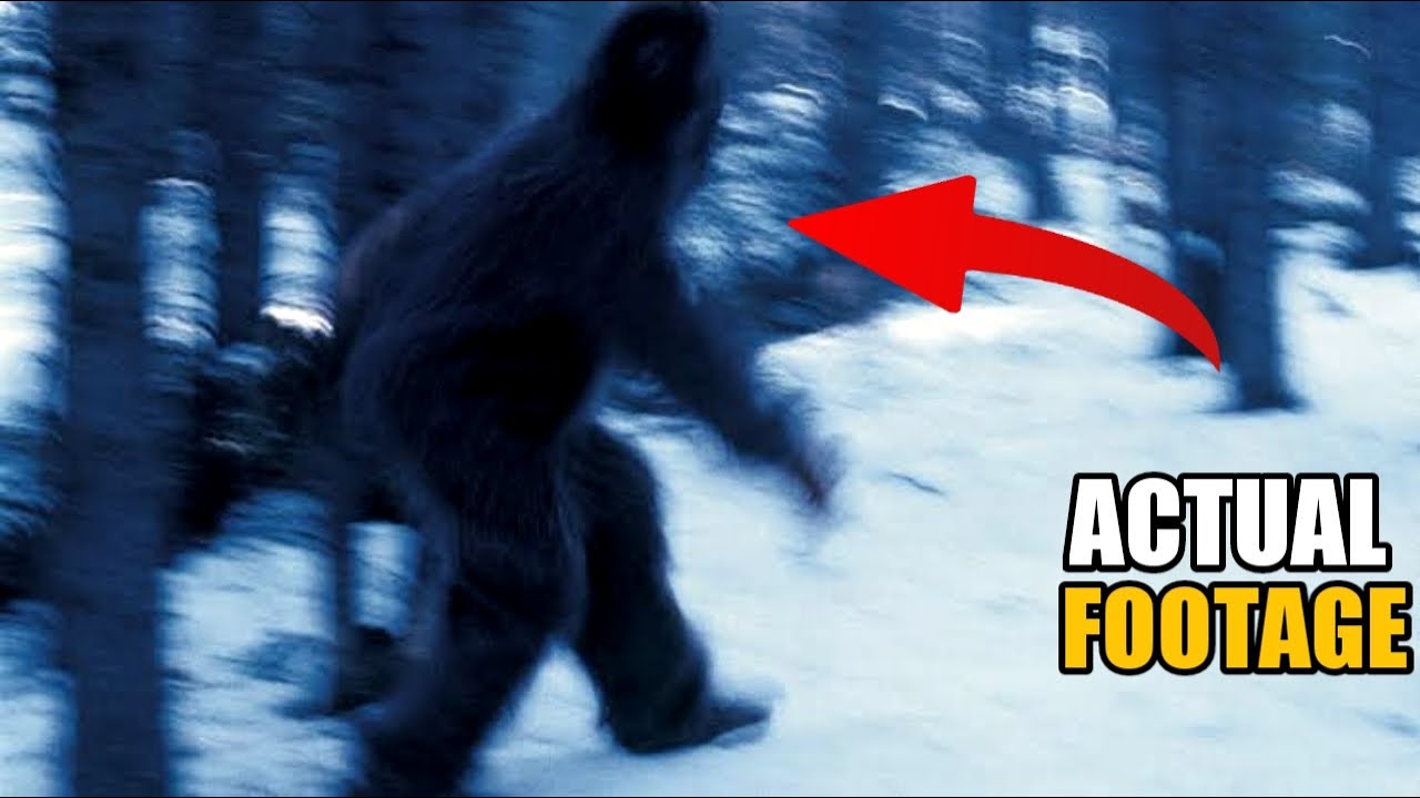 These Are The UNSETTLING Creepy Creature Caught On Trail Camera You Won ...