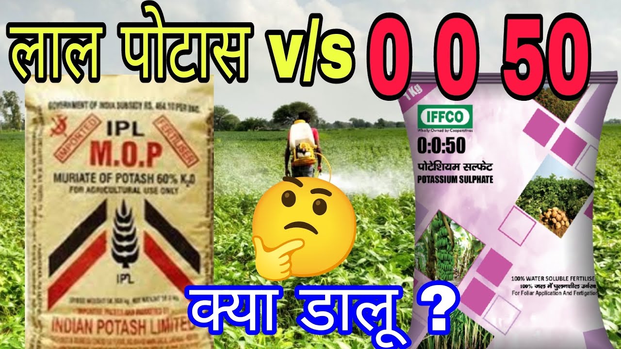 Npk 0 0 50 Iffco Npk 0 0 50 Fertilizer MOP npk-0-0-50-iffco-npk-0-0-50-fertilizer-mop