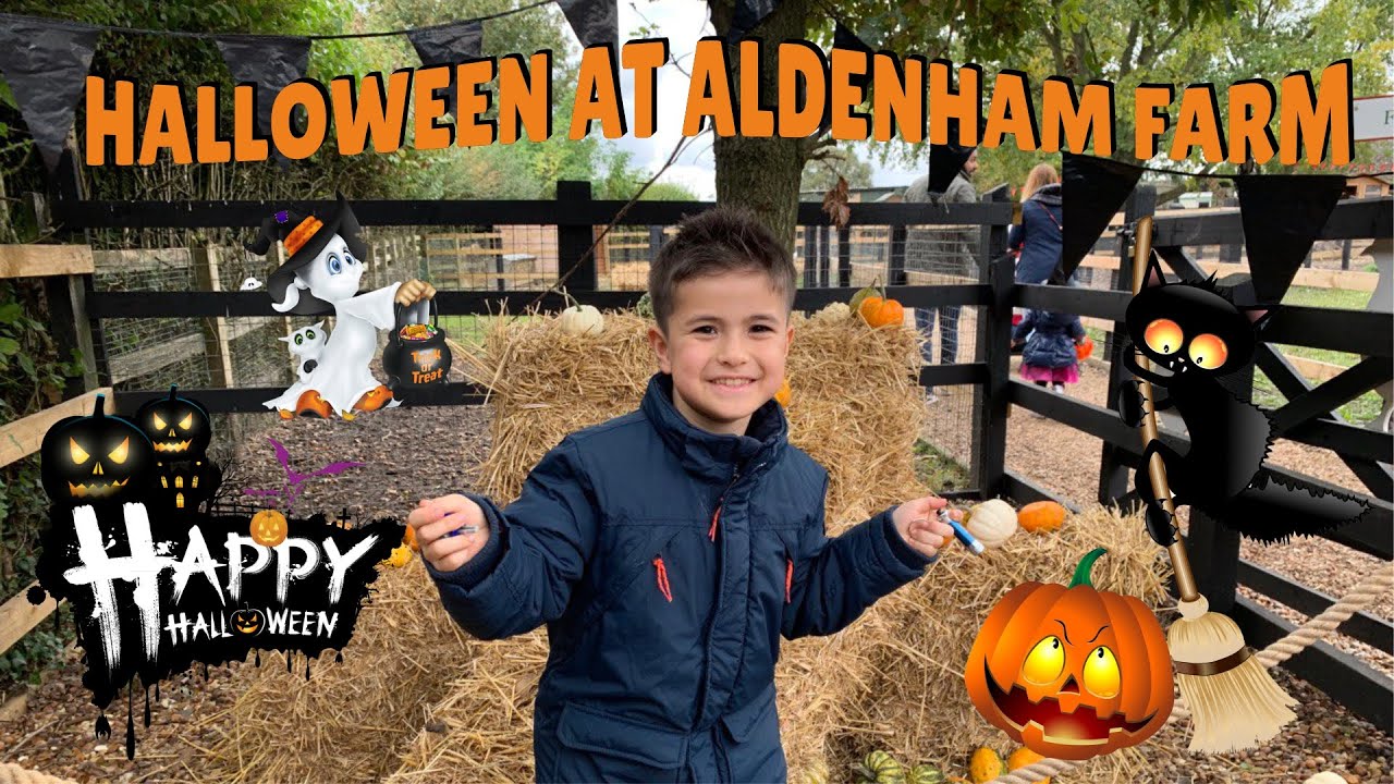 Halloween Spooky Fest for Kids at Aldenham Farm with Darius & Friends ...