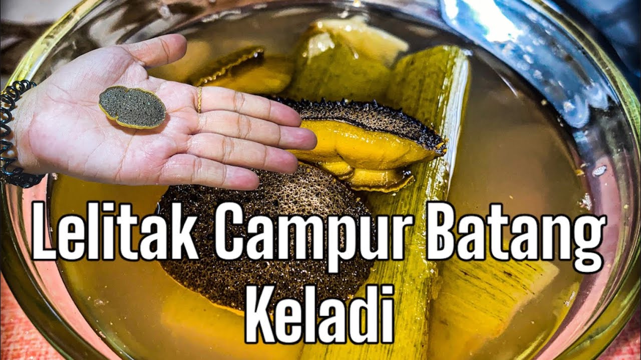 Lelitak Makanan Eksotik SARAWAK campur Batang Keladi #masakandayak # ...
