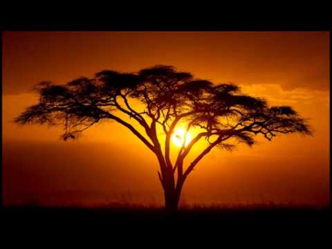 Dj Qness feat. Nomalungelo - Imiyalo (DJ Tea Point 5 Remix) - YouTube