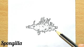 How to draw Sycon sponge labelled diagram Kingdom Anim... | Doovi