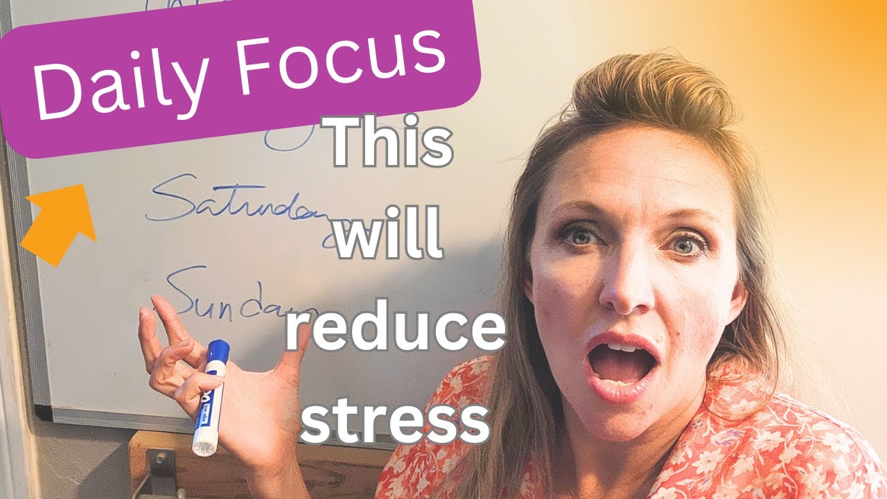 FLYLADY DAILY FOCUS/ Working the FLYLADY system to fit our family of 9 ...