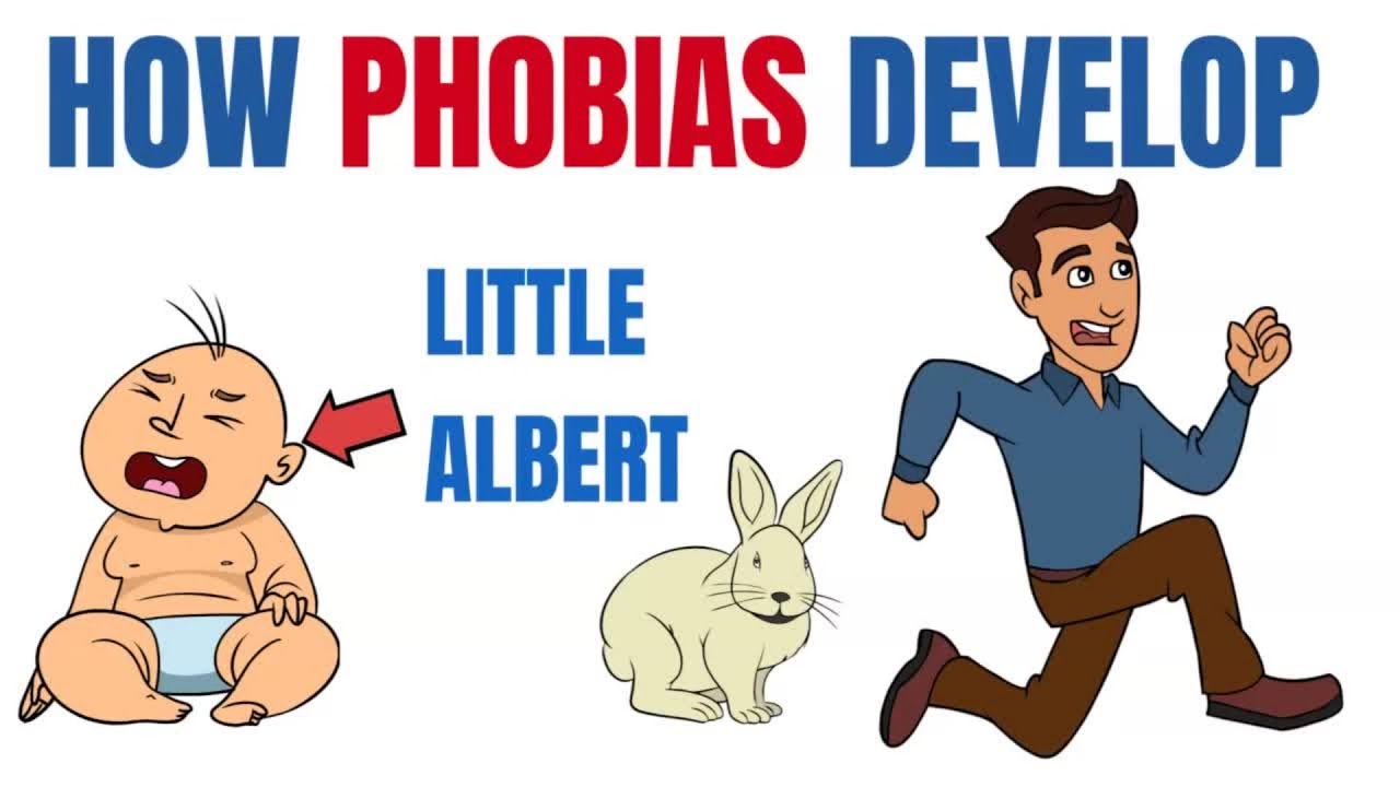 How phobias develop - What Little Albert taught us - YouTube