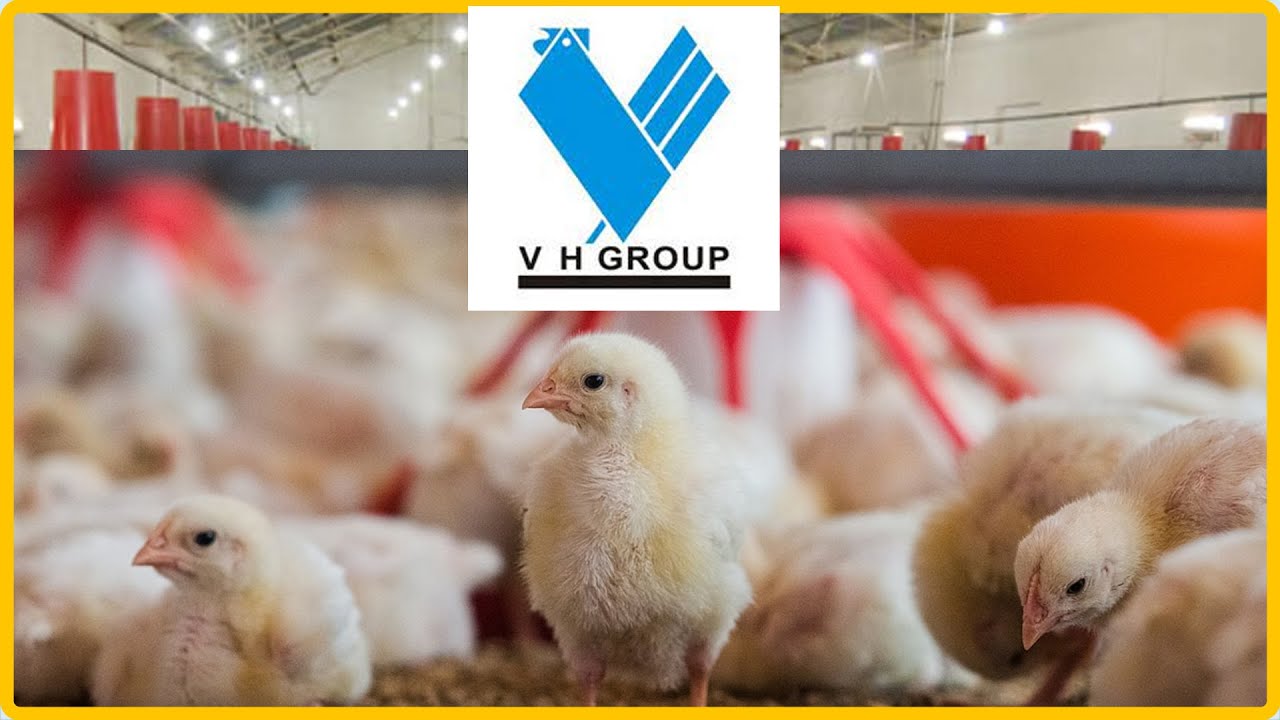 V H Group | Poultry Products, Vacccines | Kolkata Poultry Fair 2023 ...