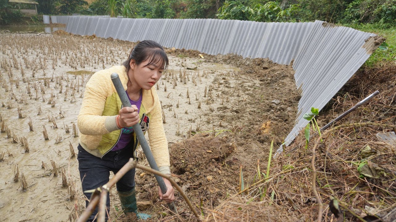 Build pond embankment with corrugated concrete Ep2 Hoe the soil - Green ...