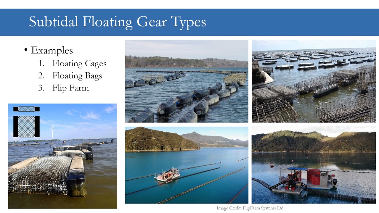 Proposed Chatham County Shellfish Mariculture Presentation - YouTube