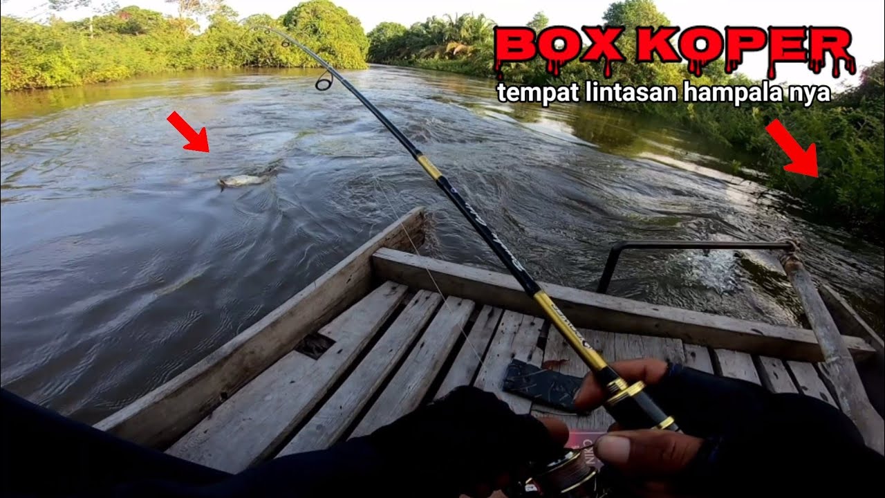 BETUL KATA NELAYAN SETEMPAT BOX KOPER INI BANYAK TANGKAPAN HAMPALA NYA ...