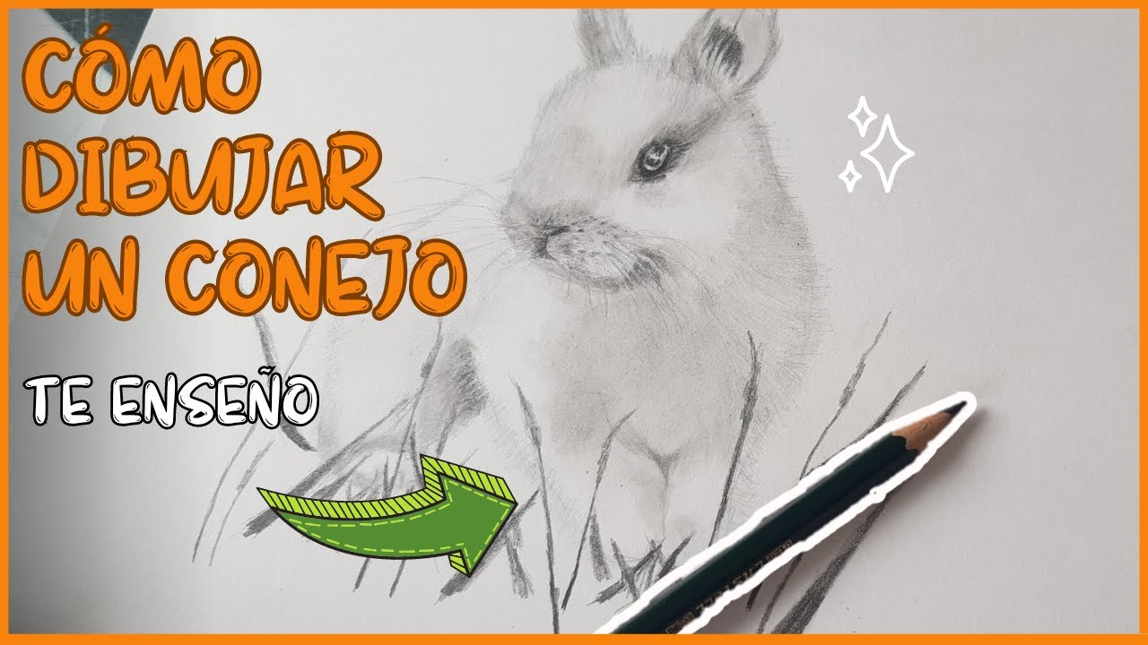 Aprende a dibujar un conejo realista😍//Tutorial paso a paso// - YouTube