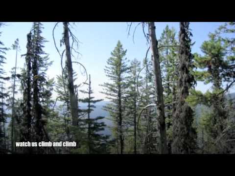 cyclone lake lookout - YouTube
