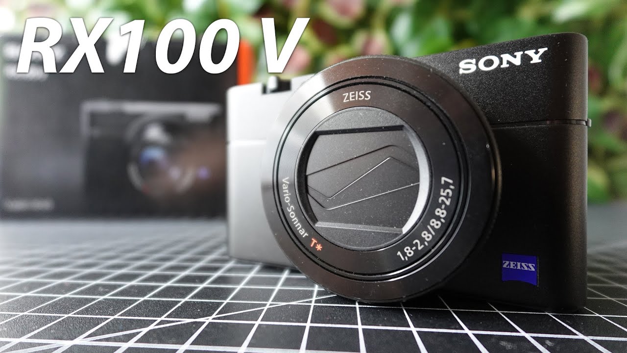 Sony DSC-RX100 V test video with zoom footage and sample images 2024 ...