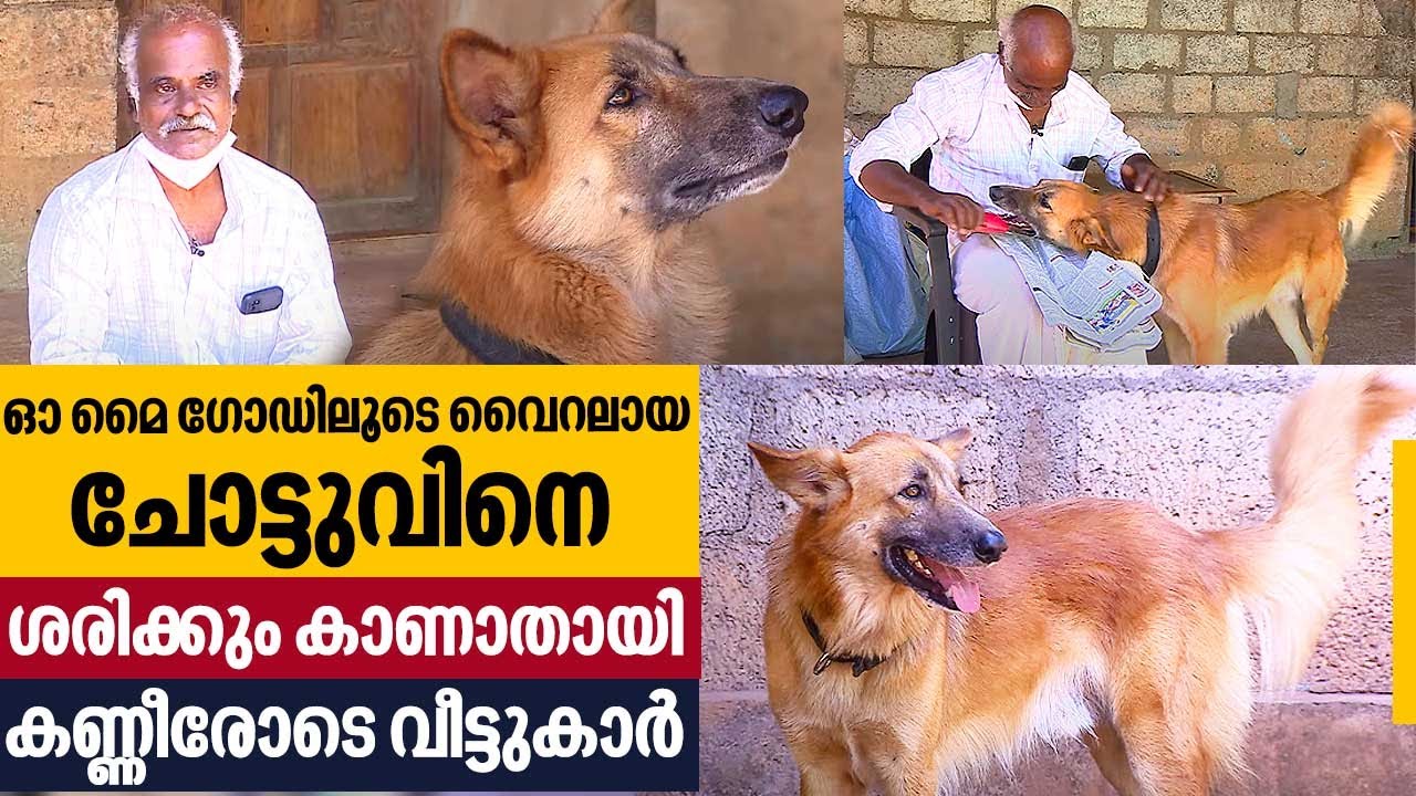 ഓ മൈ ഗോഡിലൂടെ വൈറലായ ചോട്ടുവിനെ ശരിക്കും കാണാതായി, കണ്ണീരോടെ വീട്ടുകാ ...