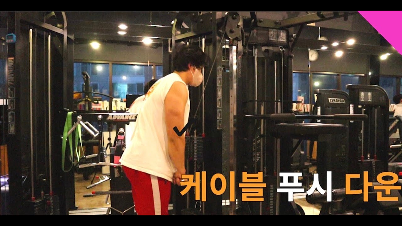 케이블 푸시 다운(cable push down) 수직저항,[운동하는 경우 51page] - YouTube