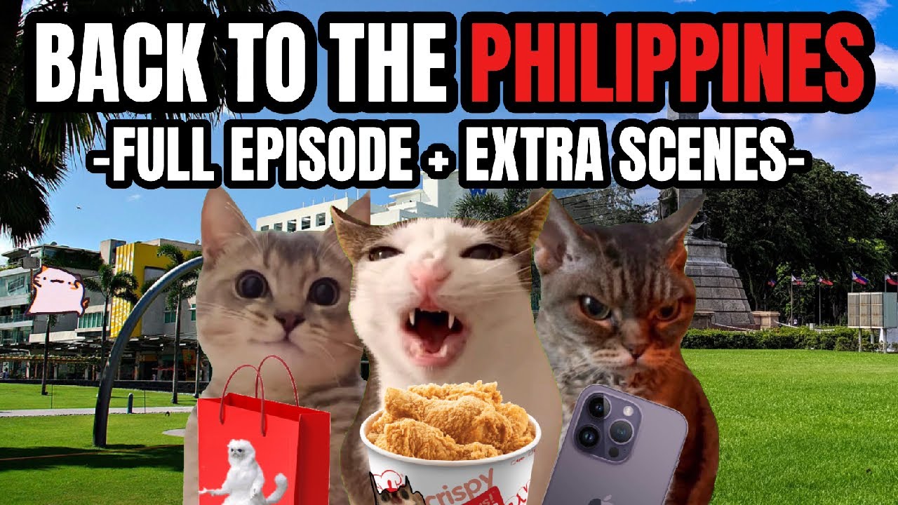 Cat MEMES: EYYYY GO TO THE PHILIPPINES + EXTRA SCENES - YouTube