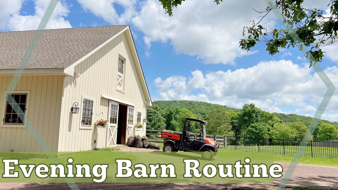 EVENING BARN ROUTINE & Feeding the Horses • SPRING 2024 Routine & Barn ...