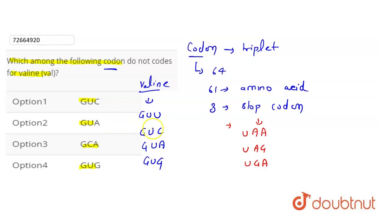 Which among the following codon do not codes for valine (val)? - YouTube