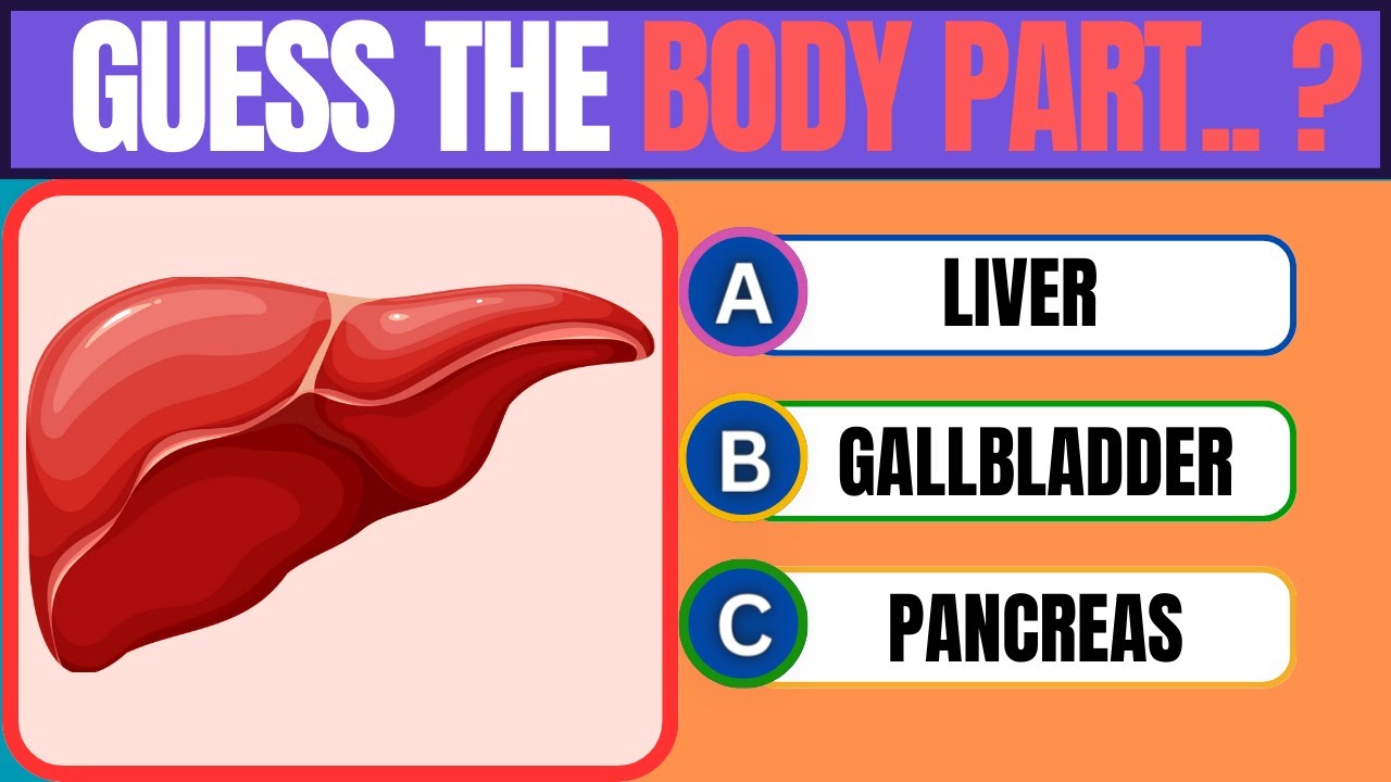 Guess The Human Body Part Quiz | How Many Human Body Parts Can You ...
