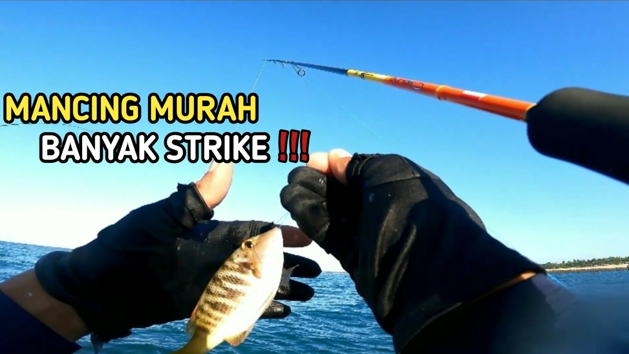 MANCING MURAH‼️BANYAK STRIKE - YouTube