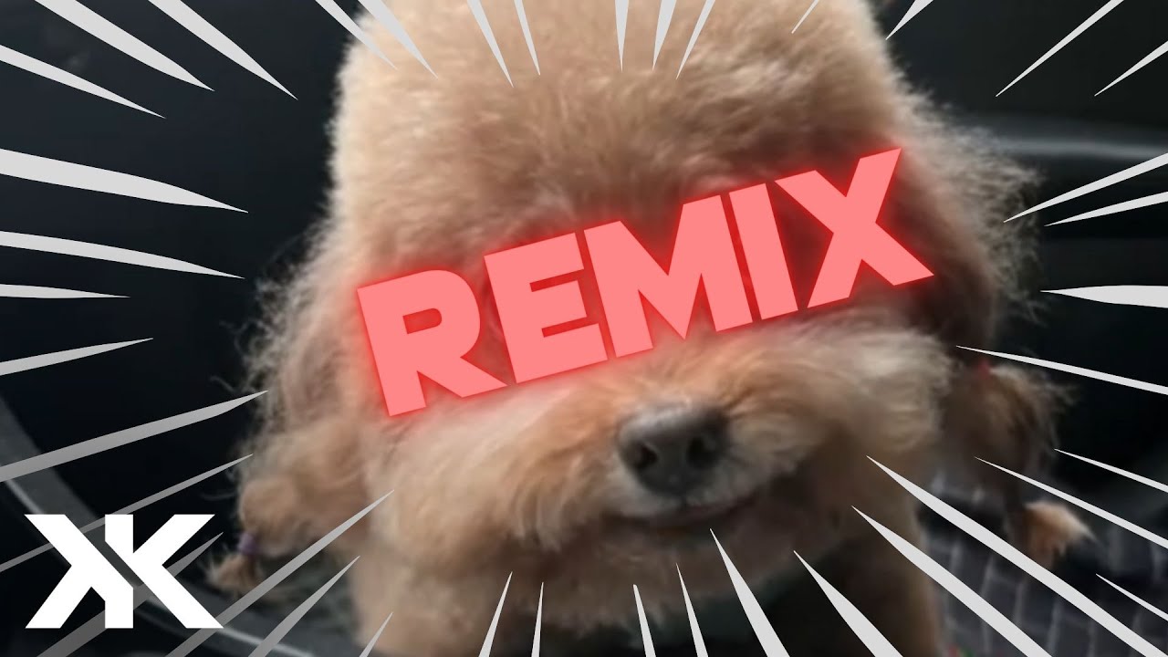 Dog is Rapping random chinese Song [ Remix by KK ] - YouTube