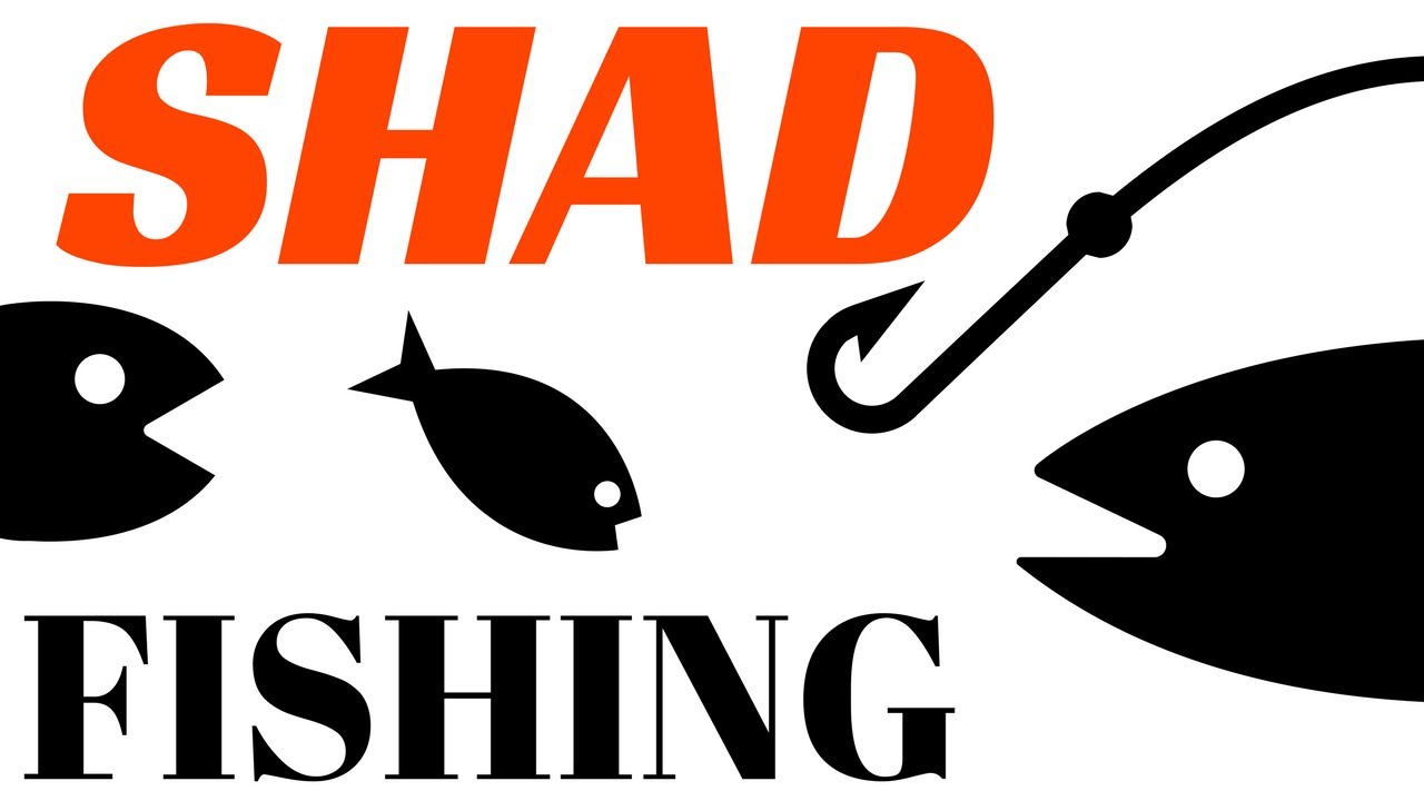 SHAD FISHING / Columbia River Gorge / Underwater Camera - YouTube