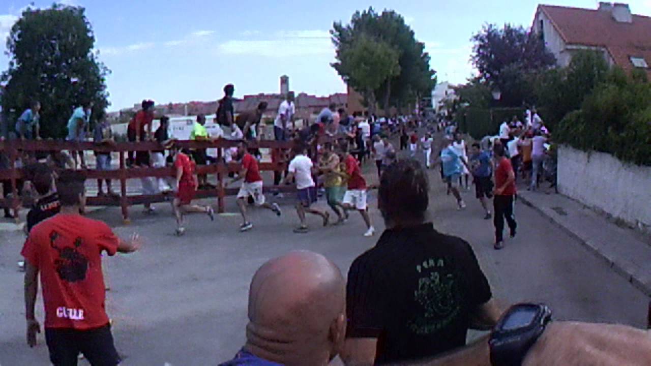 2º Encierro. Fiestas de Loeches (Madrid) 14-9-2.014 - YouTube