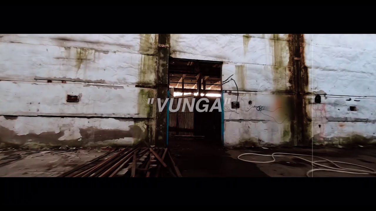 Amber Lulu ft. T touch - Vunga (Official Video) - YouTube