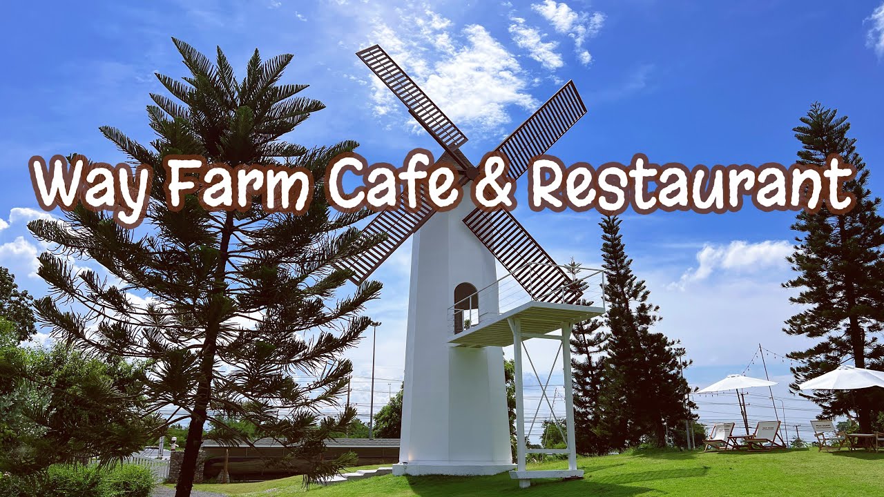 Way Farm Cafe & Restaurant คาเฟ่เปิดใหม่ สไตล์ยุโรป เพชรบุรี - YouTube