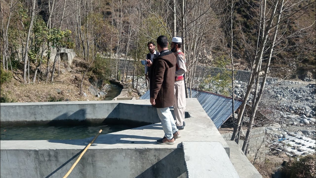 Fish 🐟 Farm in Sawat. Fish ko food khilaya bachon ne. Fish Fertilizer ...