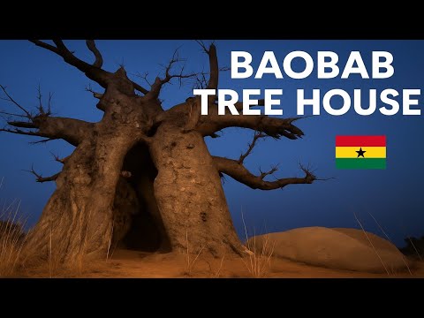 Baobab Tree House - YouTube