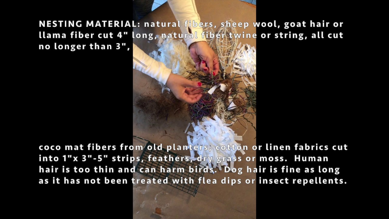 CVH Animal Sanctuary DIY - BIRD NESTING HANGERS! - YouTube