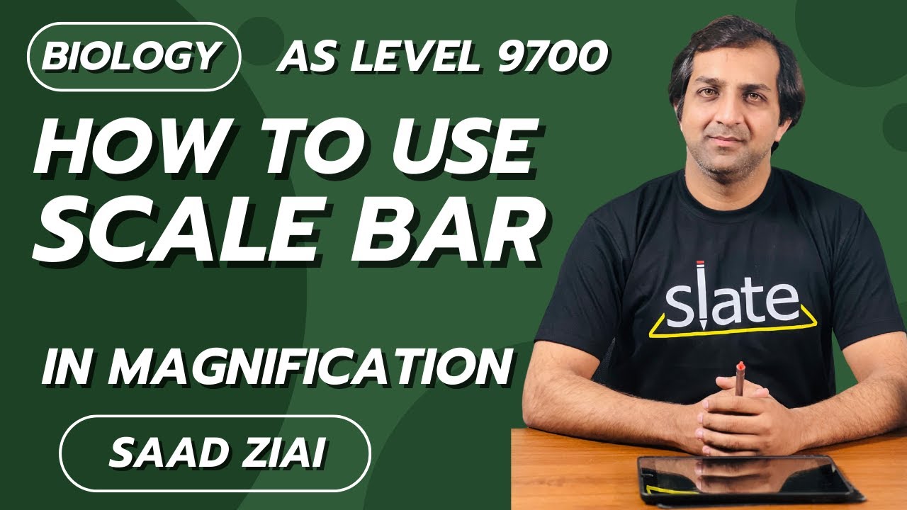 How To Use Scale Bar In Magnification A Level AS 9700 Biology how-to-use-scale-bar-in-magnification-a-level-as-9700-biology