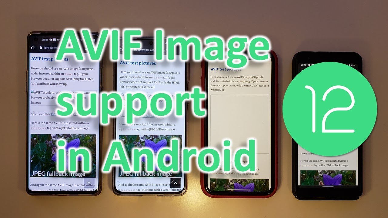 Android 12 AVIF Image Test: OnePlus 8 Pro vs Samsung S21+ vs iPhone 11 ...