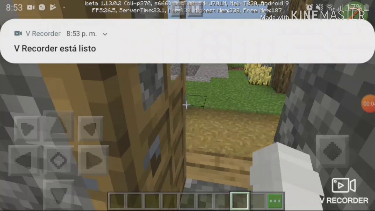 Parrots dancing uwu - YouTube